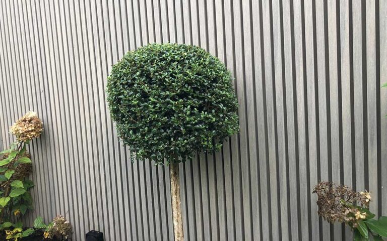 WPC fluted panel, price, size, and installation | Beginner's Guide to ...